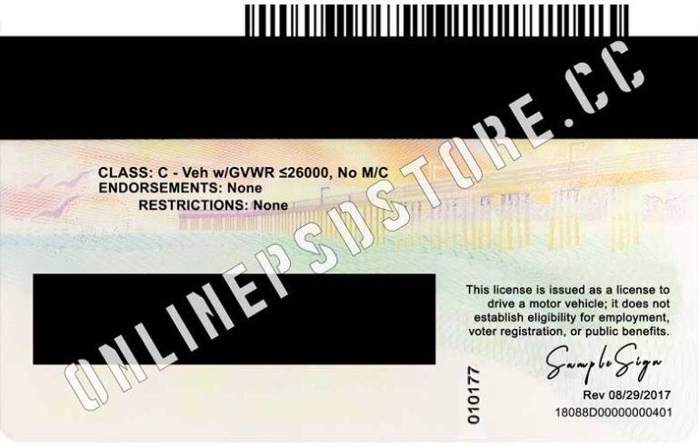 California DL USA | Download new editable PSD templates