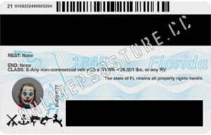 Florida DL USA | Download new editable PSD templates