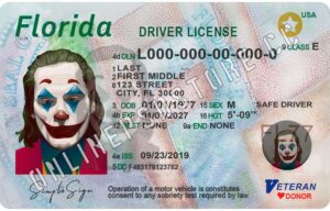 Florida DL USA | Download new editable PSD templates