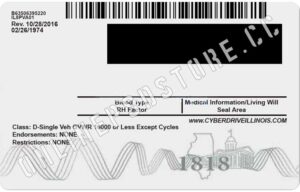 Illinois DL USA | Download new editable PSD templates