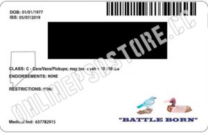 Nevada DL USA | Download new editable PSD templates