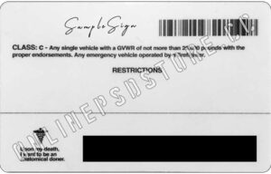 Oregon DL USA | Download new editable PSD templates