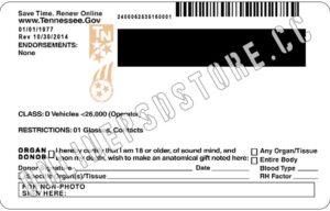 Tennessee DL USA | Download new editable PSD templates