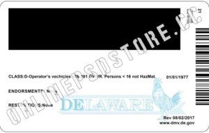 Delaware DL USA | Download new editable PSD templates